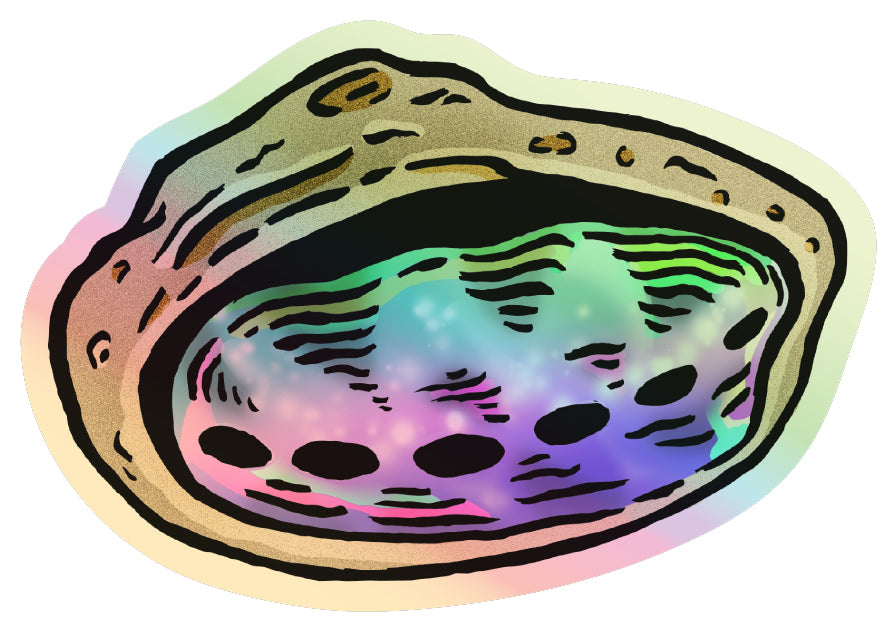 Abalone Shell Holographic Sticker – MikeHamptonArt